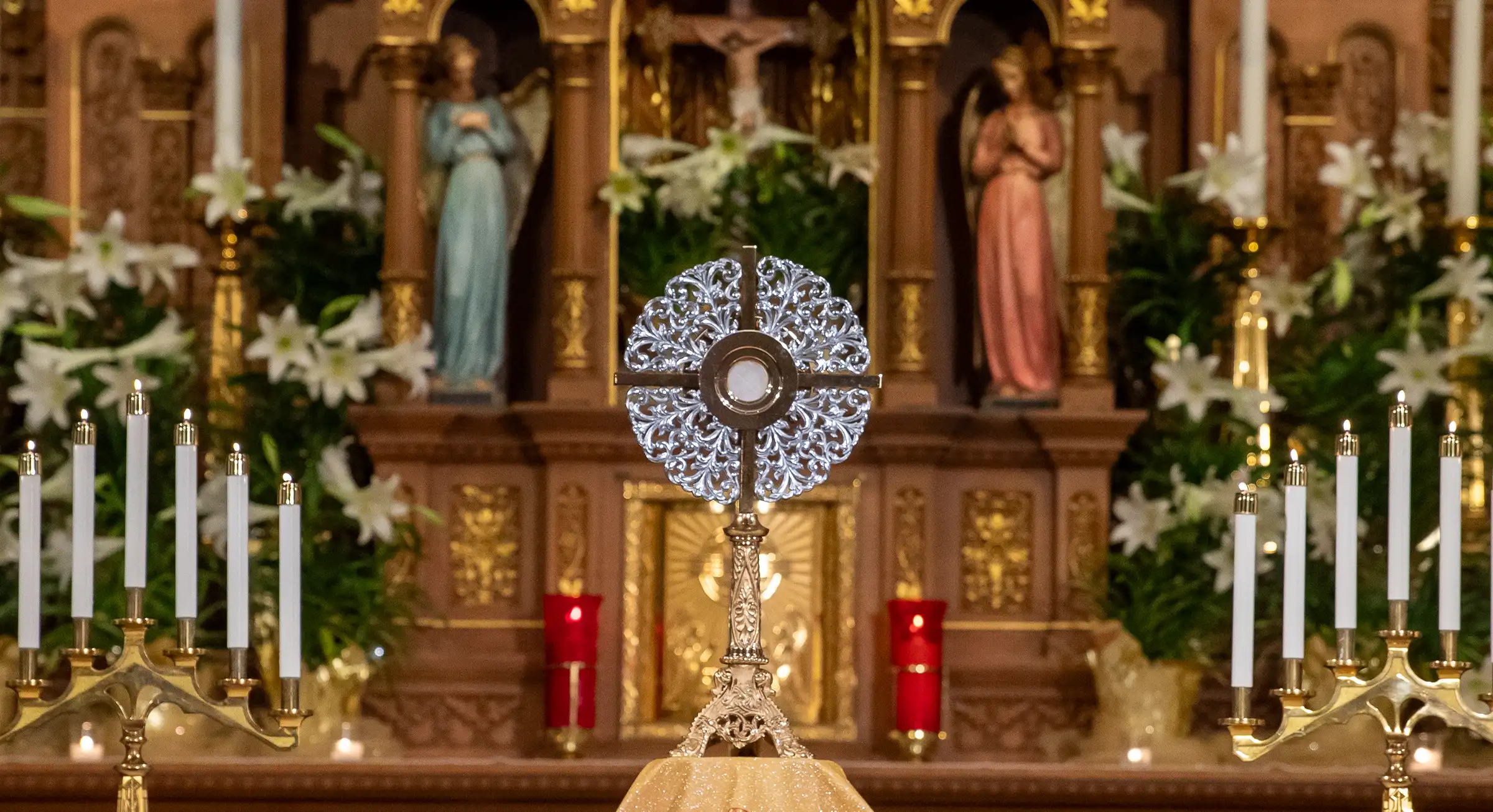 Oficina para la Dignidad Humana - Roman Catholic Diocese of Phoenix